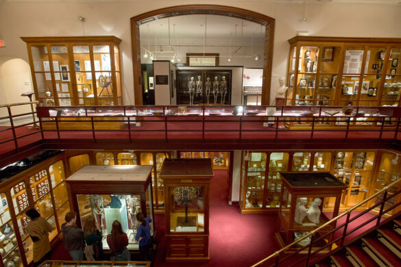 Explore The Franklin Institute: Philadelphia’s Premier Science Museum ...