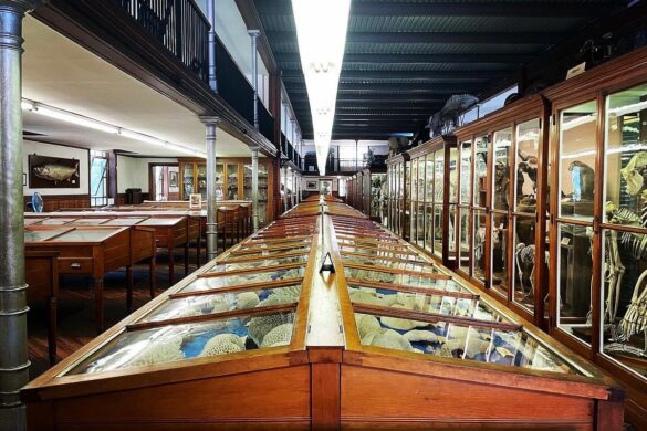Explore The Franklin Institute: Philadelphia’s Premier Science Museum ...